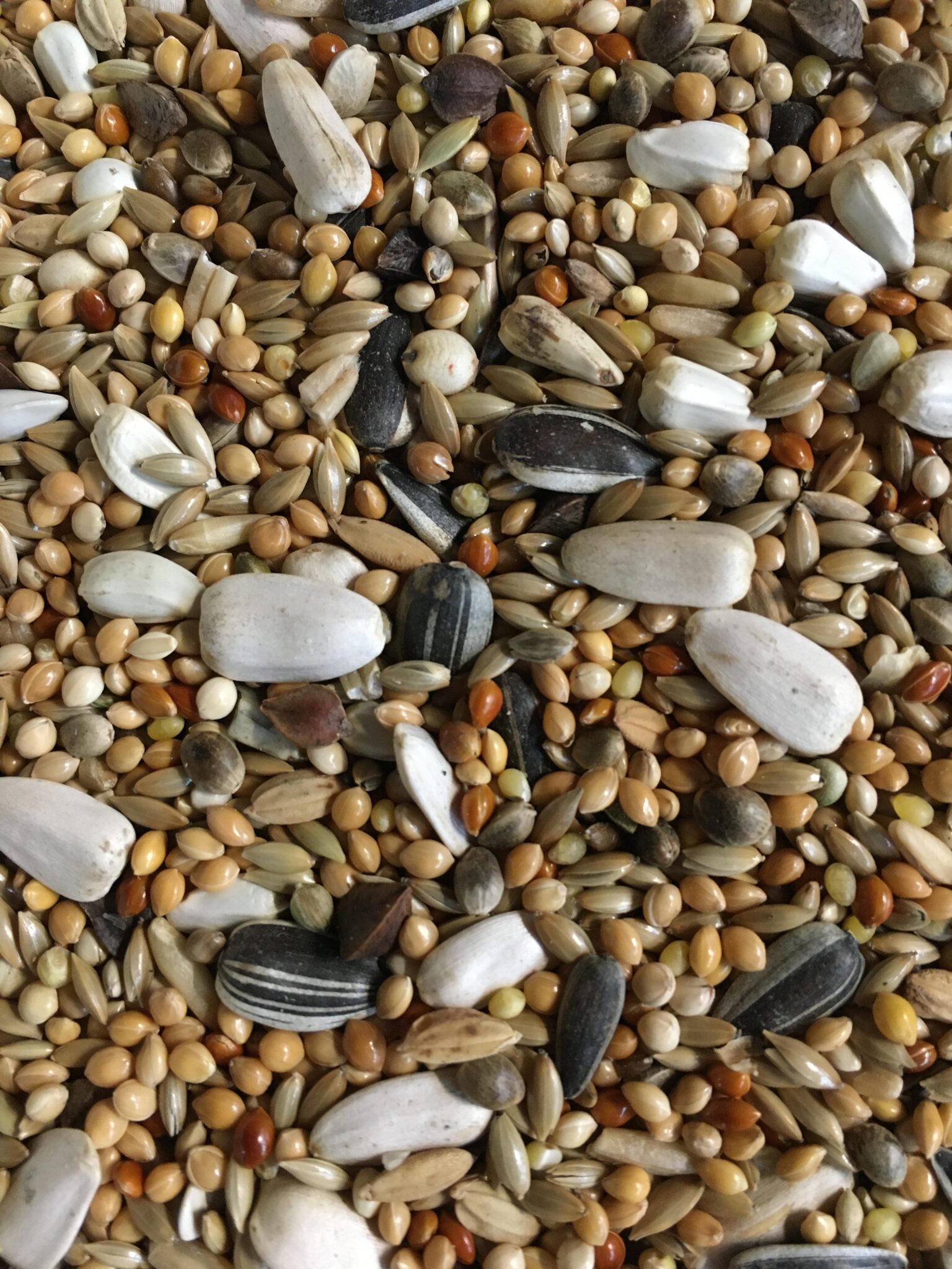 Alimentation animaux de compagnie et alimentation élevage - JMB Distri