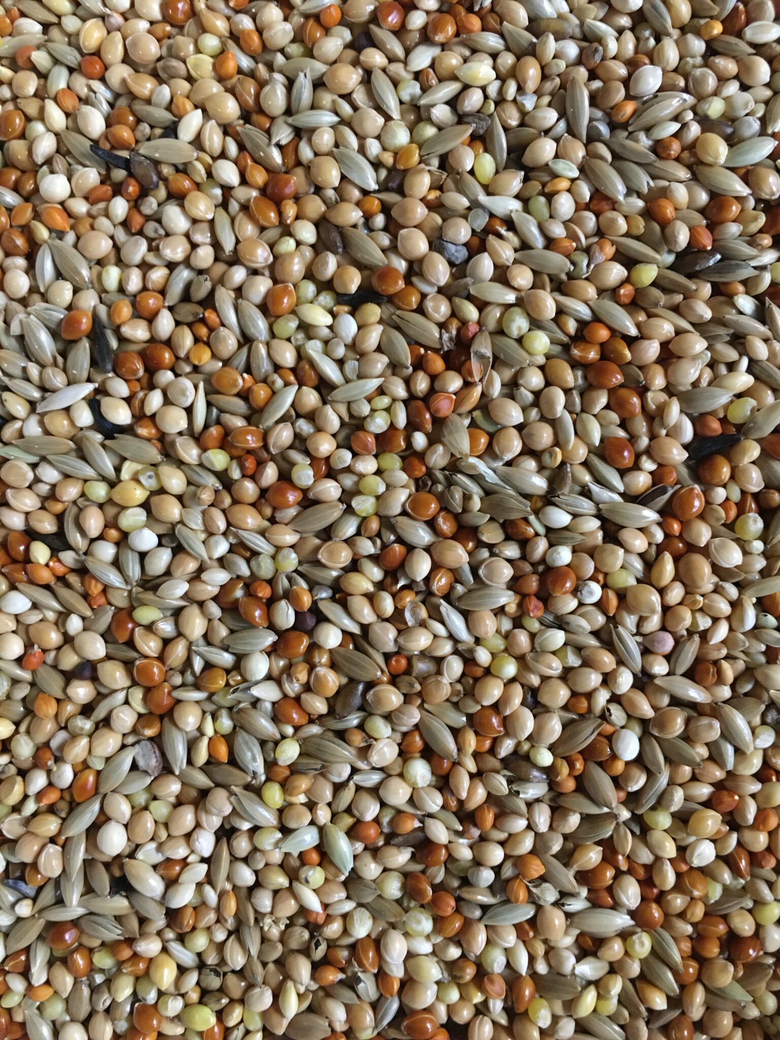 Retrouvez nos produits pour Oisellerie - JMB Distri